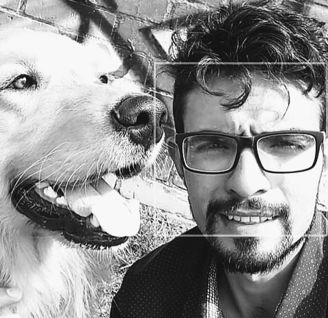 Christian Castiblanco, poesía ecológica desde Colombia (I) - profesor jonk